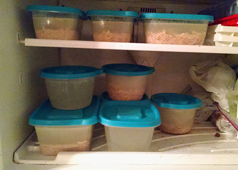 The Foundation Diet for Dogs